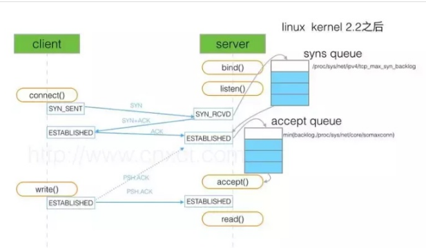 select,epoll,poll,reactor-高性能服务器开发